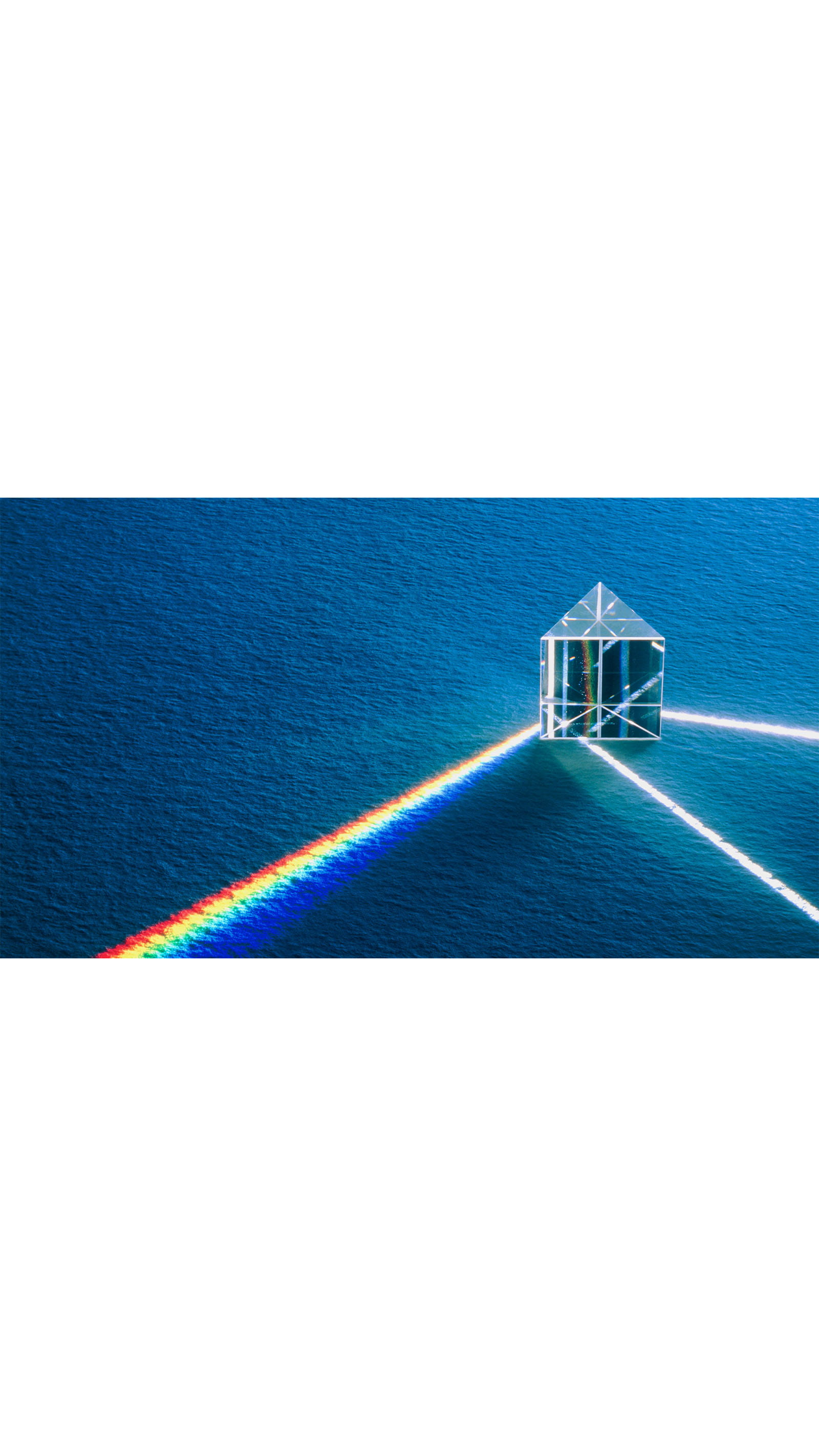 Climate change: mission transition | ICAEW